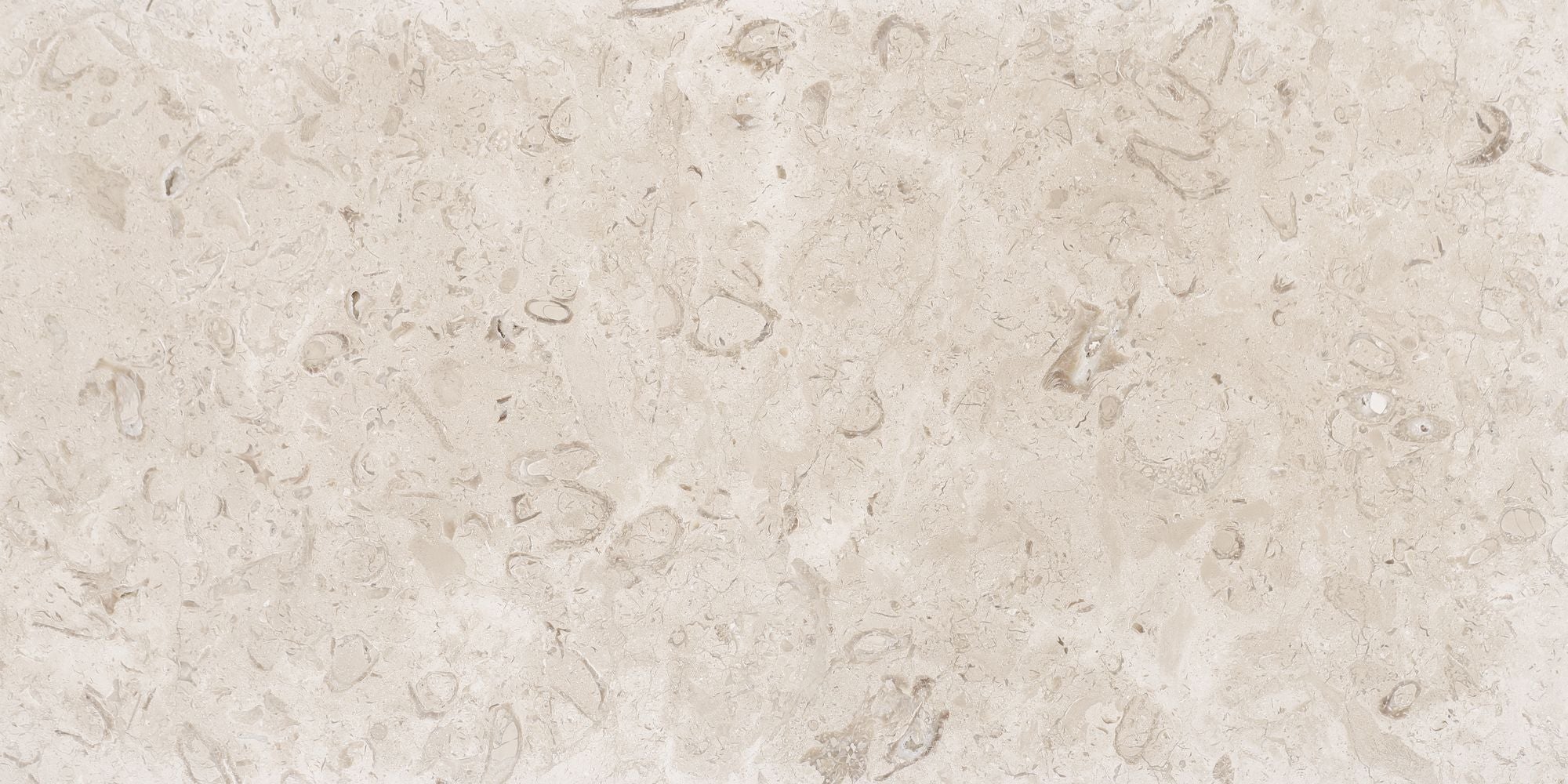 Hazelnut Limestone | Field Tile, Mosaic & Molding, Featured Tile, Large ...