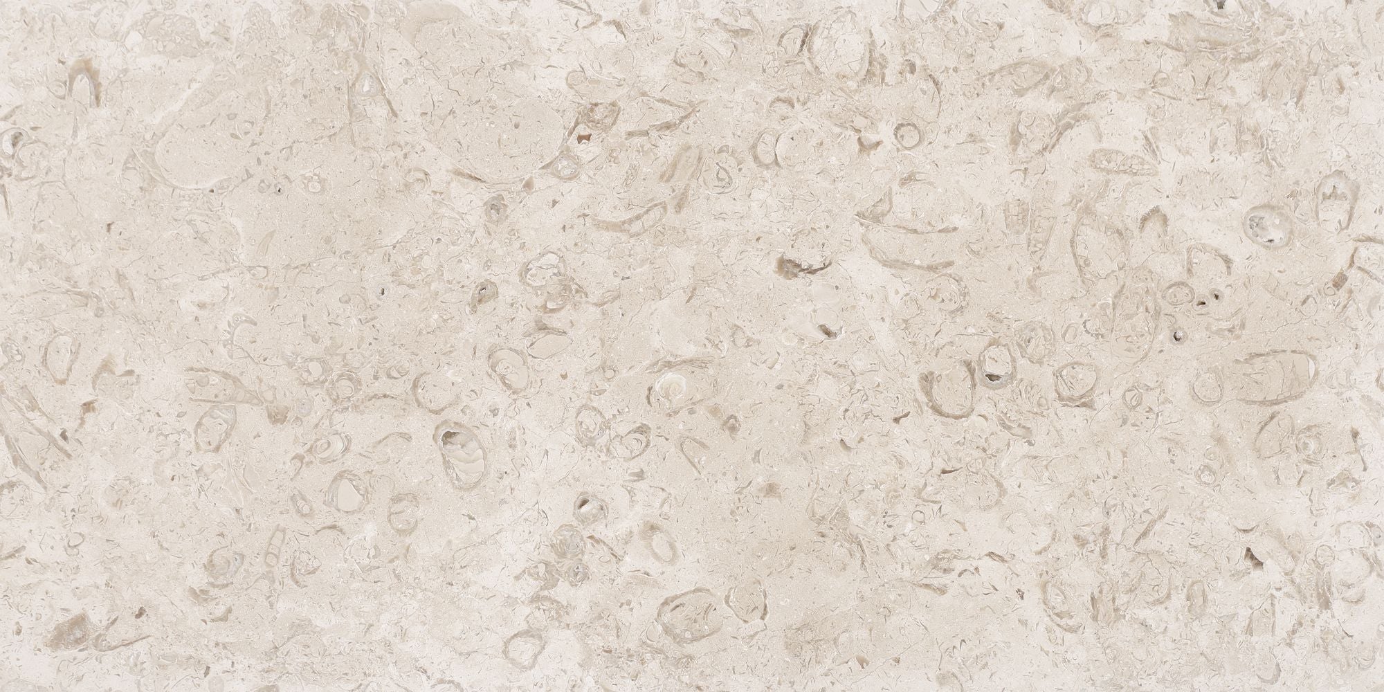 Hazelnut Limestone | Field Tile, Mosaic & Molding, Featured Tile, Large ...